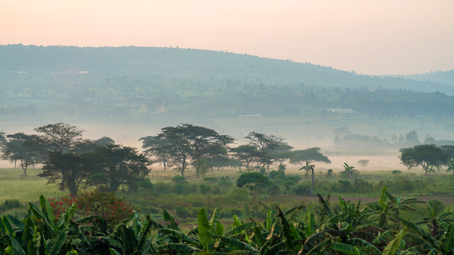 Rwanda Travel Tips | Safety, Visas & Guidelines